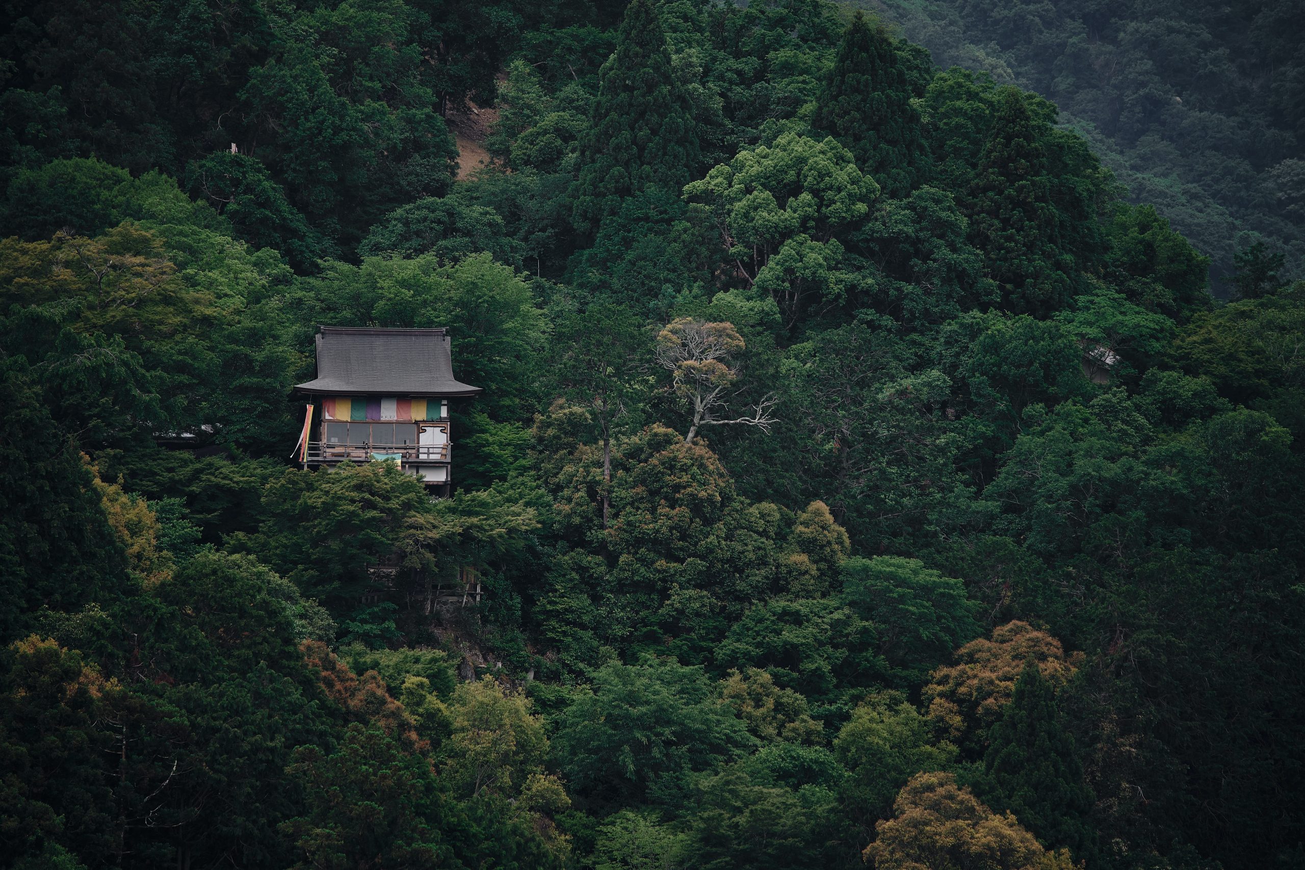 The Kyoto x Haiku Project | The Kyoto x Haiku Project